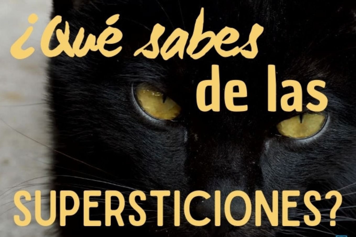 ¿Crees en las supersticiones? - Docor Comunicación